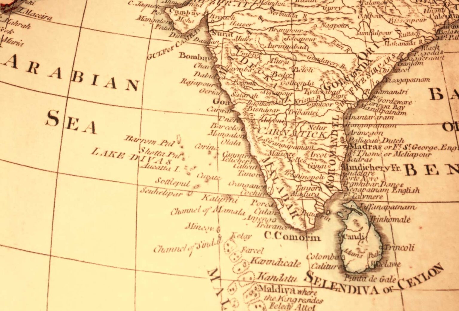 About us – RICH CEYLON RAW SPICES